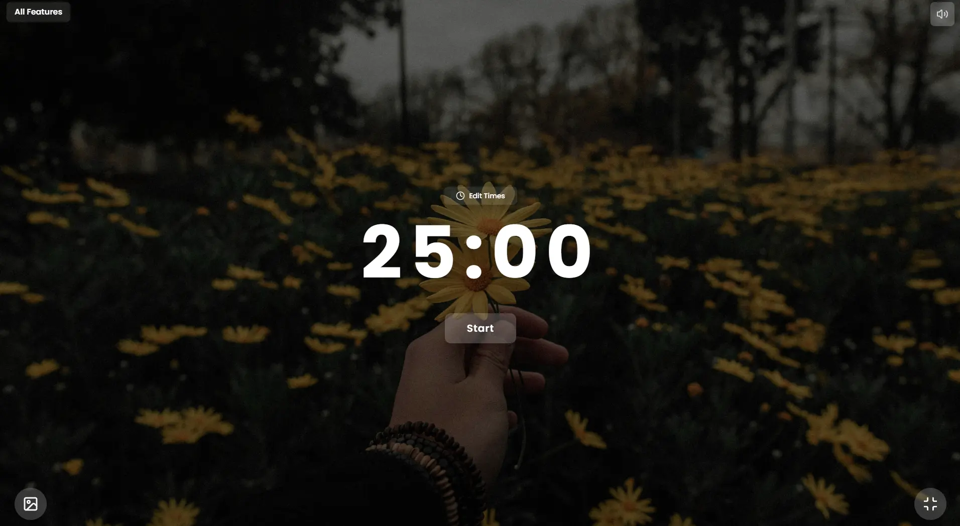 Cram & Conquer | Study Timer with Friends, Music, Pets, and a Soul!